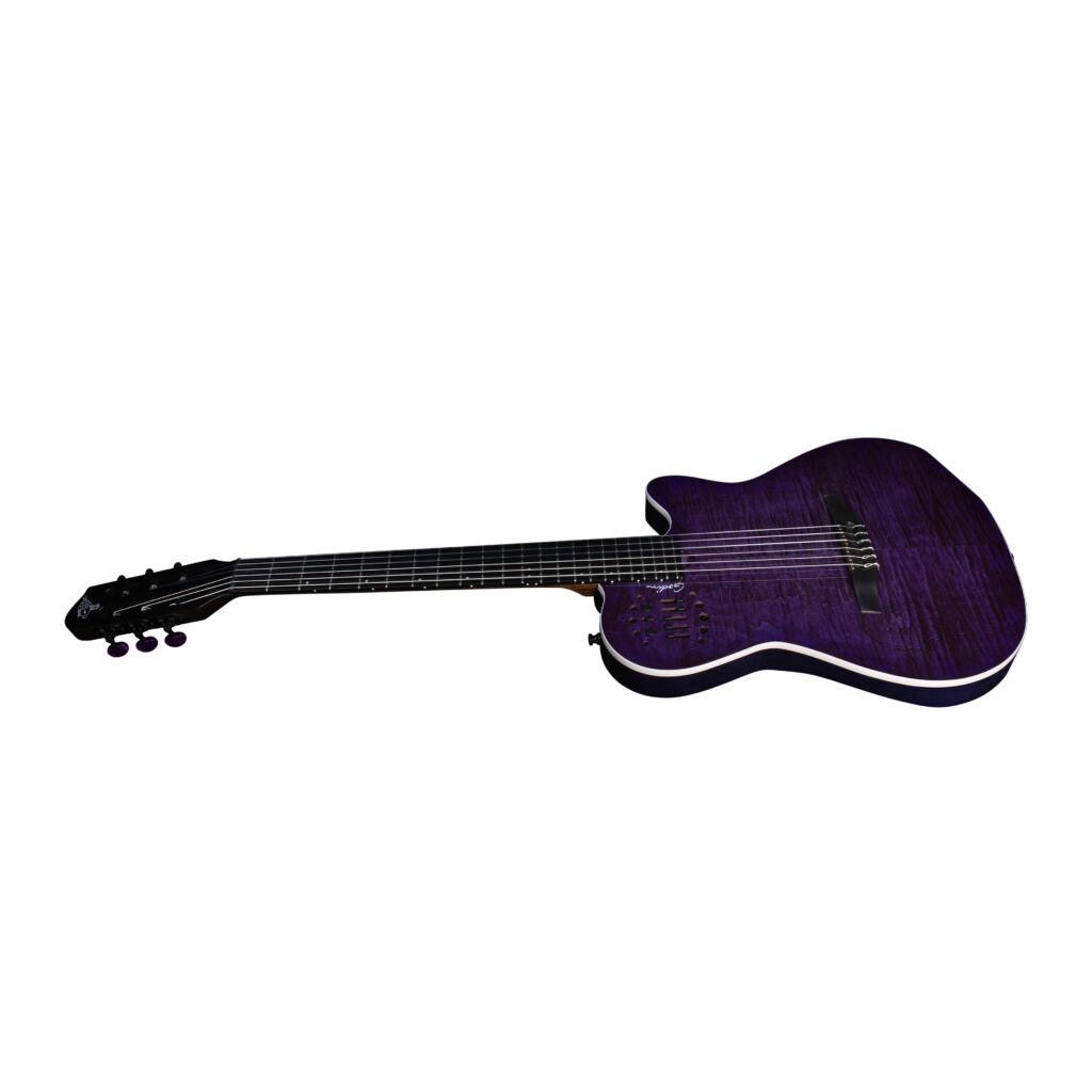 Godin ACS Nylon Steve Stevens Signature 25th Anniversary