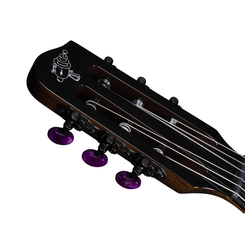 Godin ACS Nylon Steve Stevens Signature 25th Anniversary