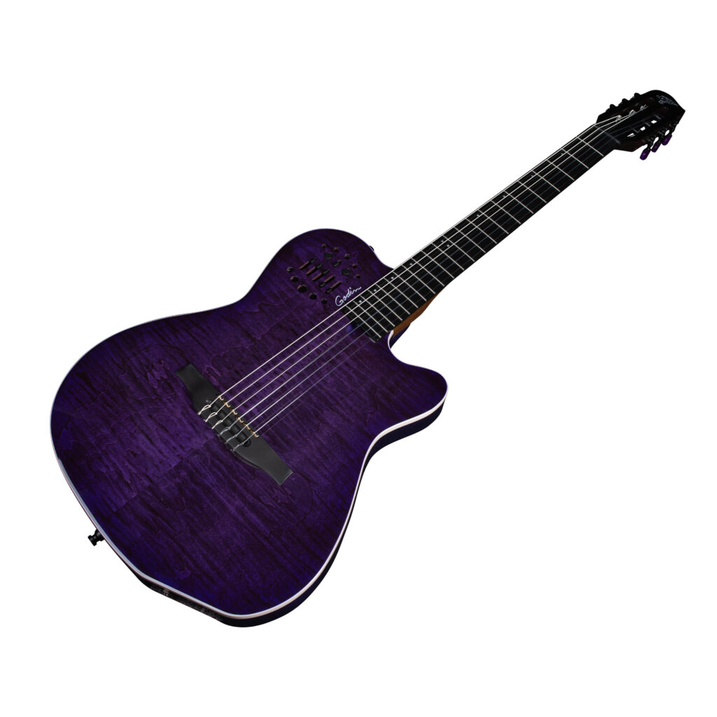 Godin ACS Nylon Steve Stevens Signature 25th Anniversary