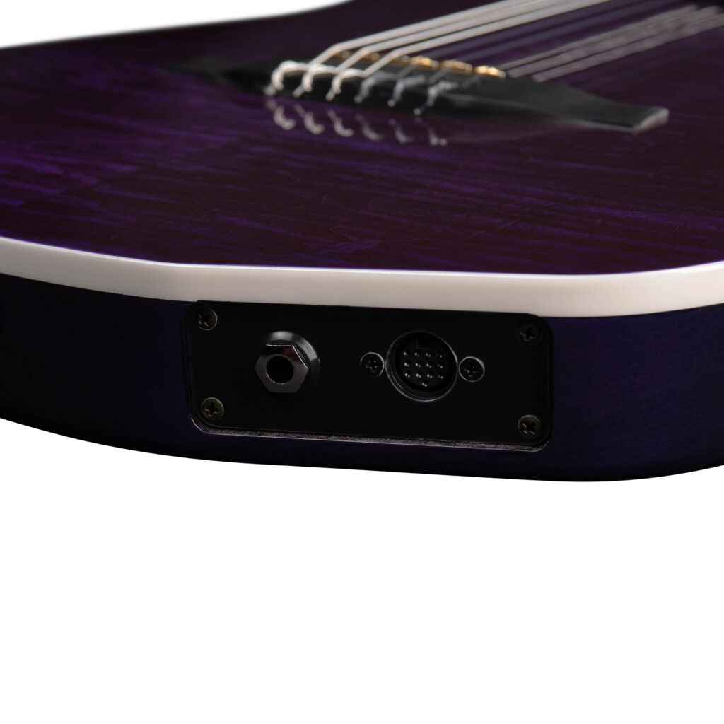 Godin ACS Nylon Steve Stevens Signature 25th Anniversary