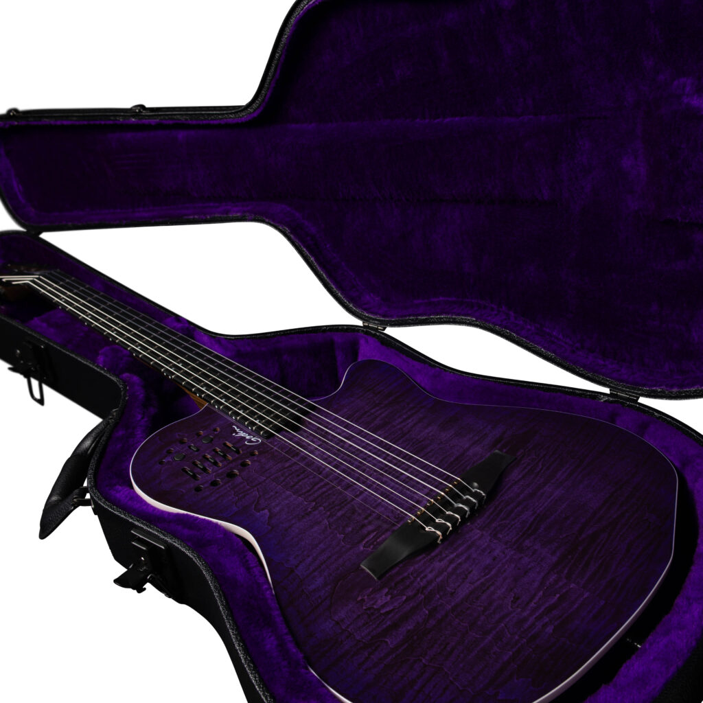 Godin ACS Nylon Steve Stevens Signature 25th Anniversary